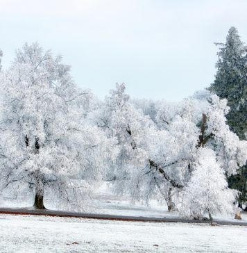 Israel Holidays in 2025/2026 - National, Public, Religious, Observances