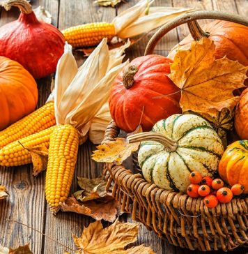 October 17 Holidays (2025/2026), Historical Events, Famous Birthdays