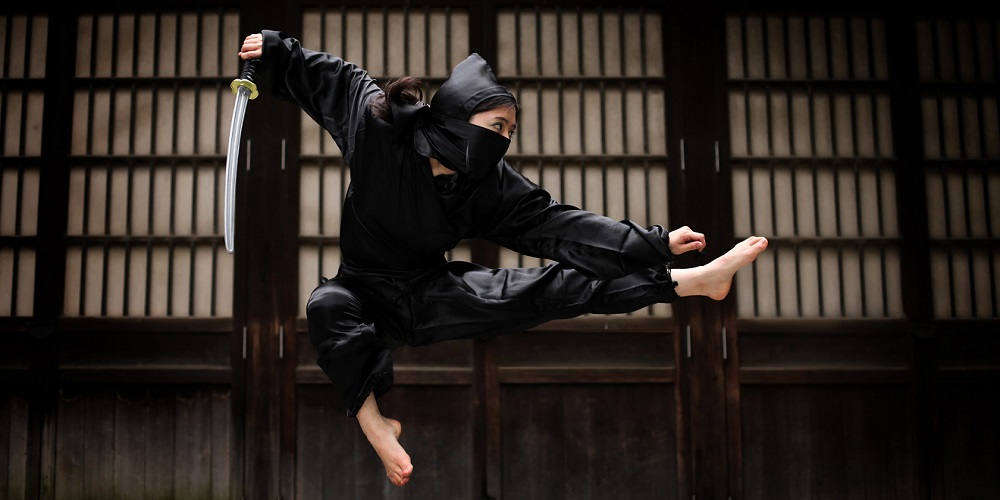 International Ninja Day in 2025/2026 - When, Where, Why, How is Celebrated?