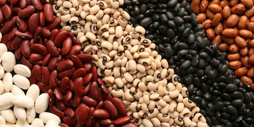 National Eat Your Beans Day in 2023/2024 - When, Where, Why, How is ...