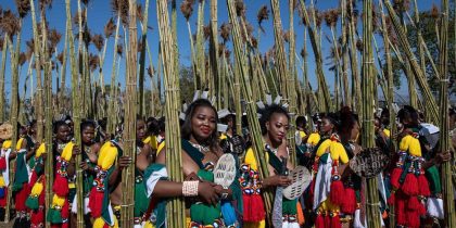 White Swazi Reed Dance