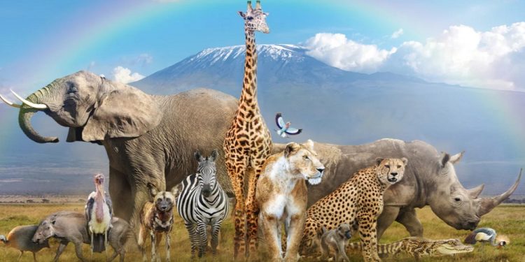 National Endangered Species Day in 2025/2026 - When, Where, Why, How is ... National Endangered Species Day in 2025/2026 - When, Where, Why, How is ...
