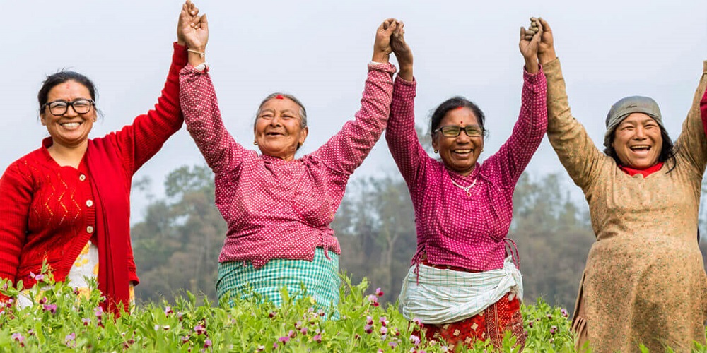 Nari Dibas in 2025/2026 - When, Where, Why, How is Celebrated?