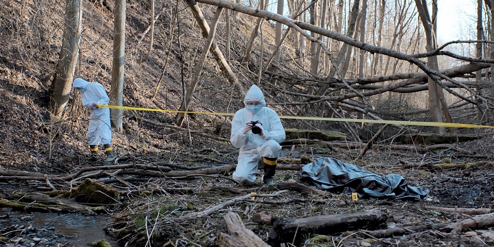 Isdal Woman Day in 2025/2026 - When, Where, Why, How is Celebrated?