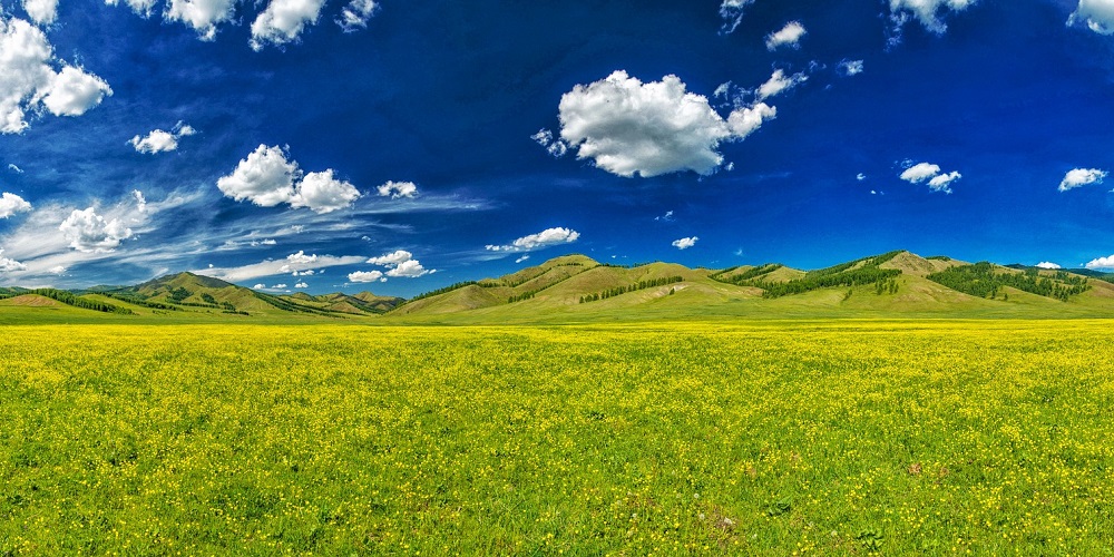 The Top 10 Important Holidays In June That No One Should Dare Miss