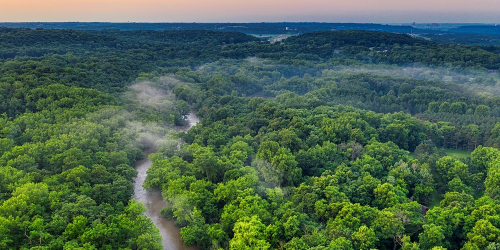 World Rainforest Day in 2026/2027 - When, Where, Why, How is Celebrated?