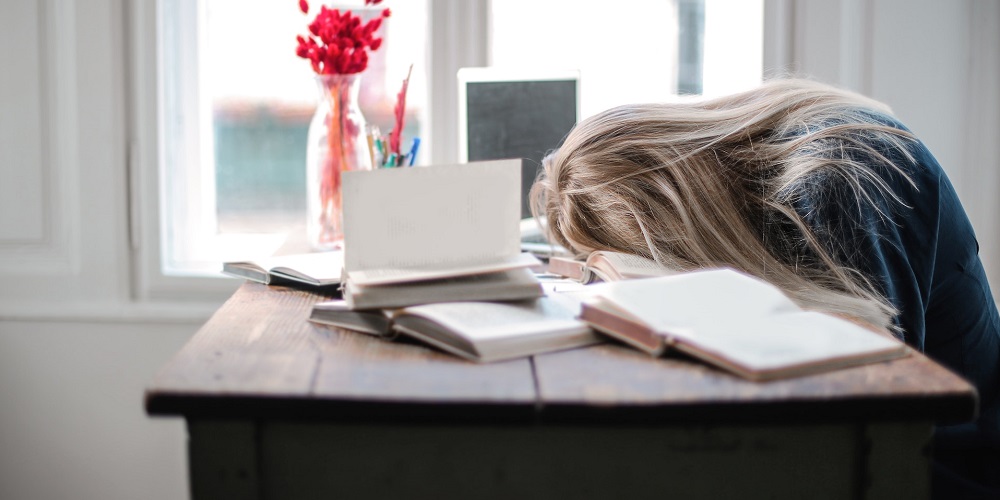 No Homework Day in 2025/2026 - When, Where, Why, How is Celebrated?