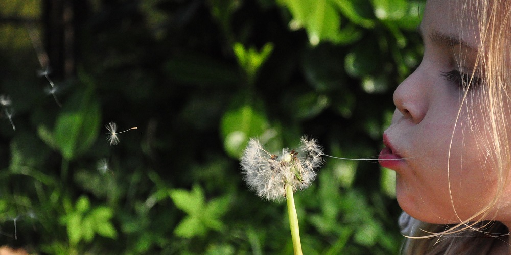 World Wish Day in 2025/2026 - When, Where, Why, How is Celebrated?