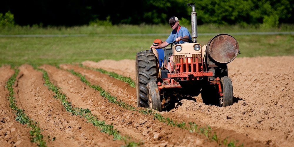 National Farm-City Week in 2025/2026 - When, Where, Why, How is Celebrated?